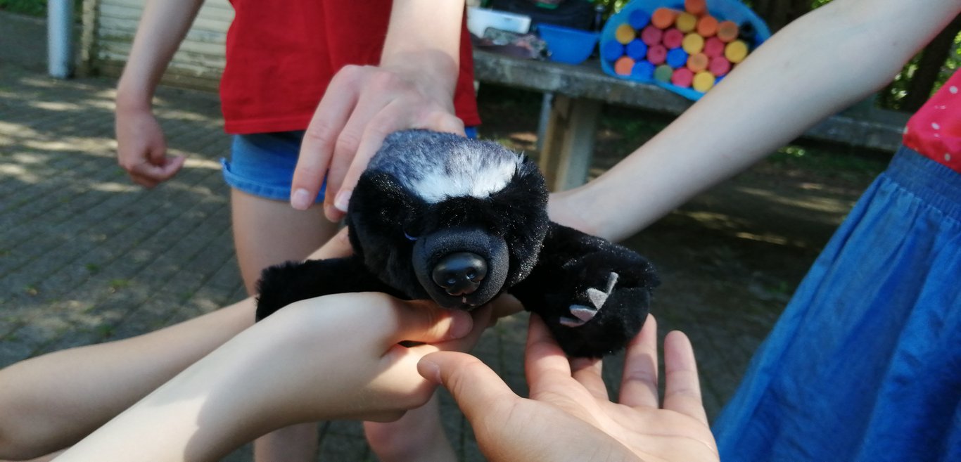 Evangelisches Jugendwerk Hessen e.V.: HMP - Die Honigdachse bekommen ein kleines Geschwisterchen